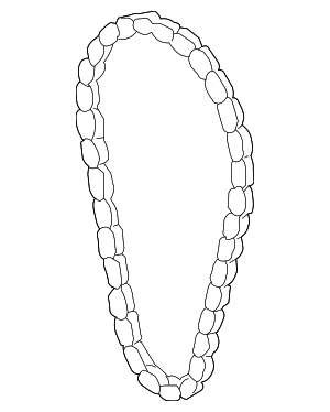 2010-2024 GM (Replaces 12646386) Timing Chain 12646387 GM ...