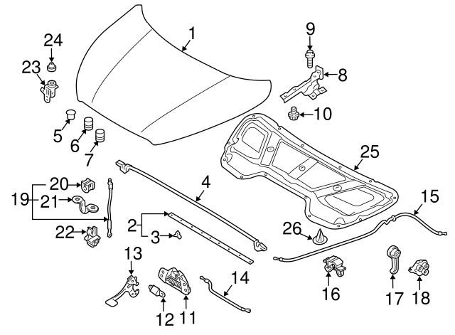 2010-2015 Hyundai Tucson Hood / Trunk Prop Rod 81170-2S000 ...
