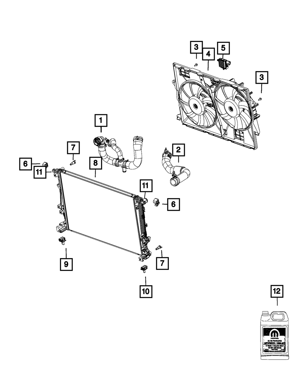 2019-2023 Jeep Cherokee Radiator Outlet Hose And Clamp 68251833AD ...