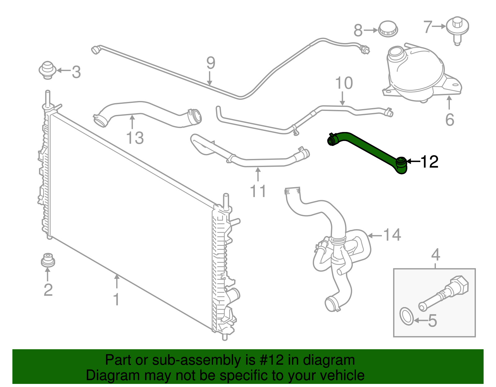 2015-2019 Ford Lower Hose CK4Z-8286-E | Ford OEM Parts Outlet