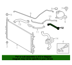 2015-2019 Ford Lower Hose CK4Z-8286-E | OEM Parts Online