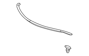 2015-2019 Lexus RC F Protector 53119-24040 | OEM Parts Online