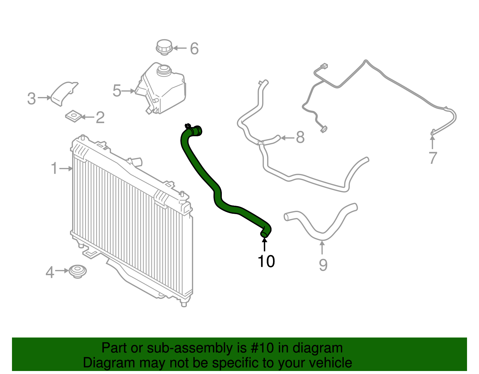 Genuine OEM Ford Part - Lower Hose GN1Z-8286-AA | Genuine OEM Ford ...