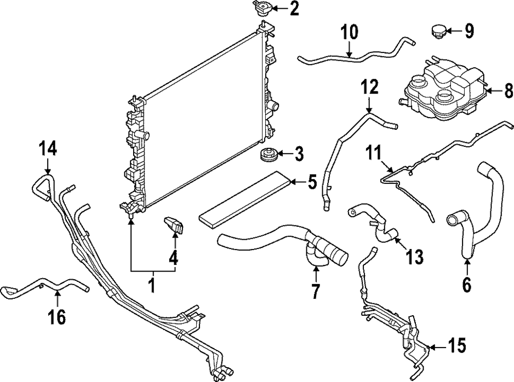 NZ6Z-8A577-B - Coolant Hose 2022-2024 Ford Maverick | Ford Parts Direct