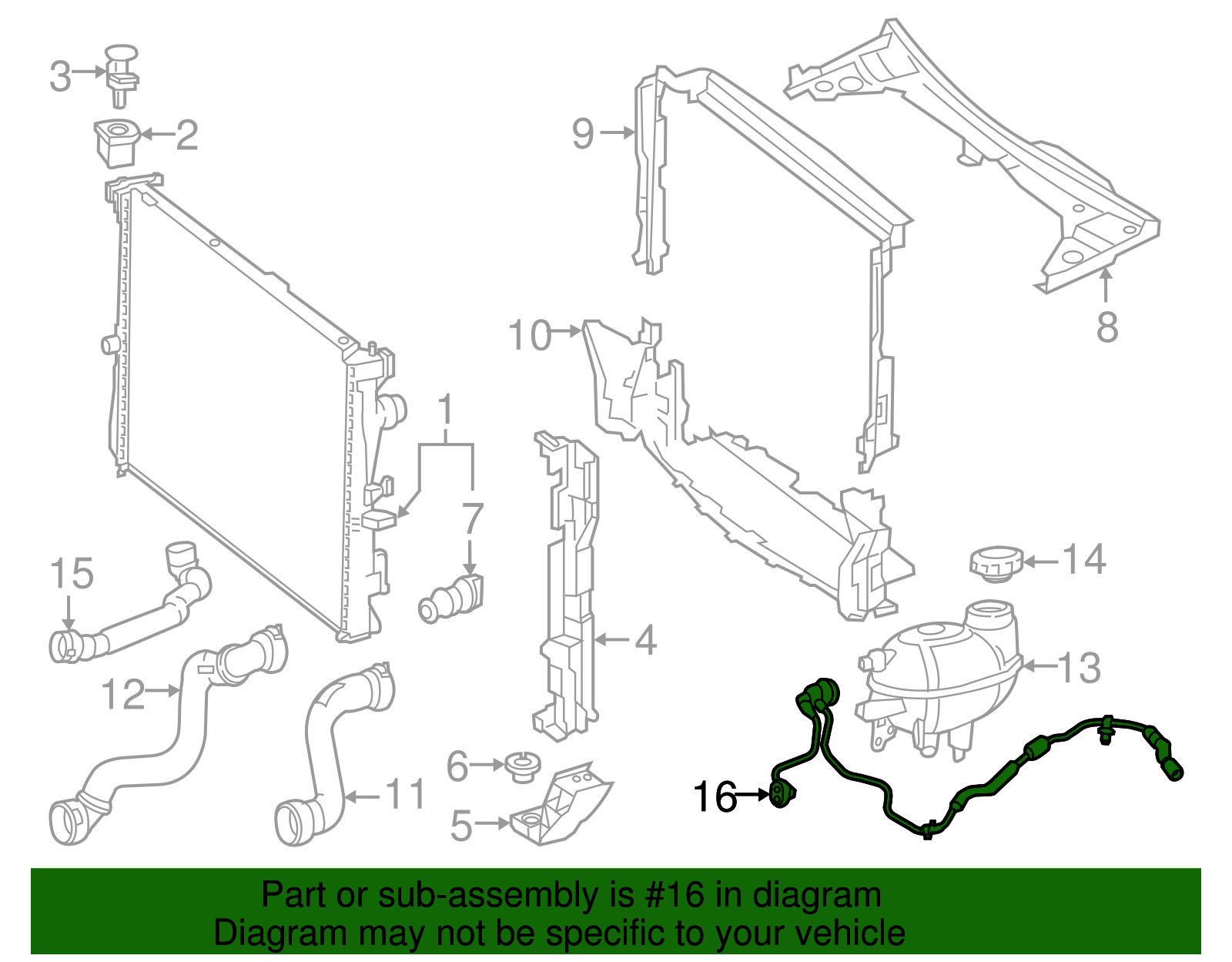 2065010101 - Reservoir Hose 2022-2025 Mercedes-Benz | AutoNation Parts