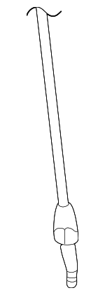 1996-2017 Mopar Antenna Mast 56043311AC | TascaParts.com