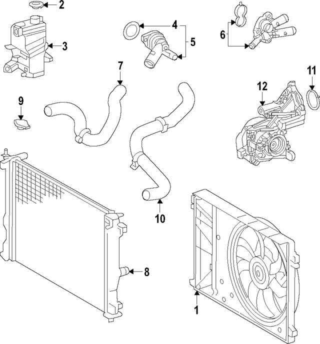 16572-F0090 - Lower Hose 2022 Lexus NX250 | Longo Lexus Parts