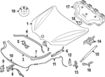 Shop Genuine OEM BMW Hoods | getBMWparts.com