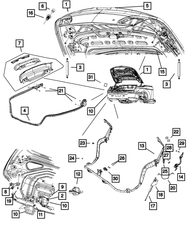 2013-2024 Mopar Tape, Left 4673837AC | Mopar Estores