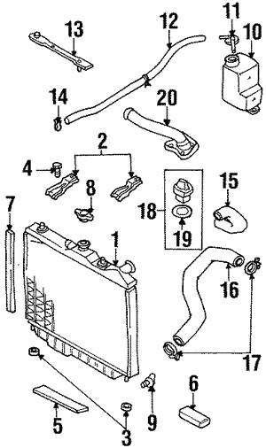 Shop OEM Honda® Radiators | Dealership to your Door | Honda Parts Guys