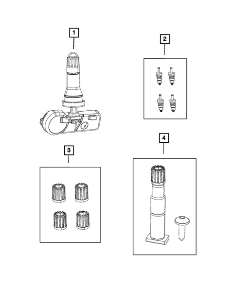 Tire Monitoring System for 2022 Ram 1500 | Mopar Estores