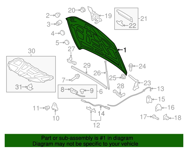 2013-2016 Audi Hood 8K0-823-029-H | Audi USA Parts