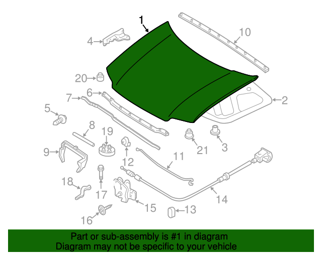 Ford 8L8Z-16612-A - Hood - 2008-2012 Ford Escape | OEM Ford Parts ...