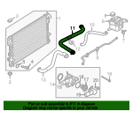 2011-2019 Ford Upper Hose BB5Z-8260-E | TascaParts.com