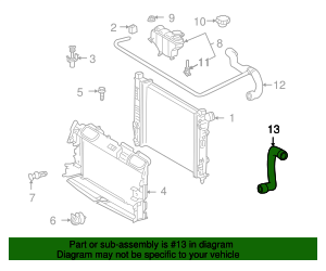 203-501-02-82 - Lower Hose 2001-2003 Mercedes-Benz | Mercedes-Benz USA ...