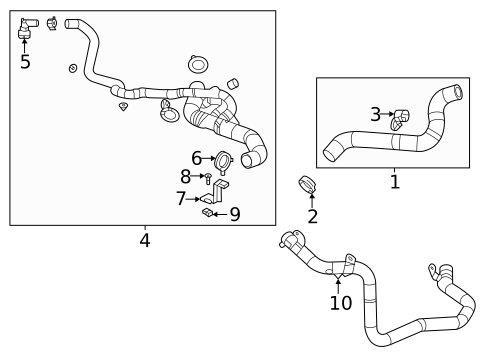 Radiator Hoses for 2024 Cadillac CT4 | TascaParts.com