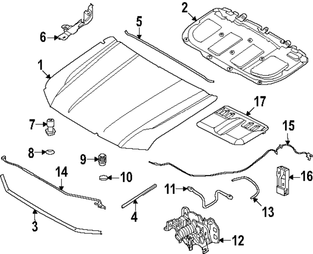 N1WZ-16612-M - Hood 2024 Ford Ranger | Ford Parts Direct