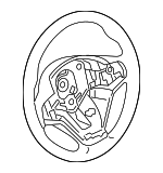 Shop Genuine BMW Wheels | getBMWparts.com