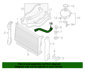17-12-8-571-613 - Lower Hose - 2015-2017 BMW X3 | BMW Parts Exchange