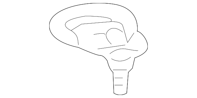 2005-2024 Toyota Tacoma Rope Hook 66310-04010 | Toyota San Diego Parts