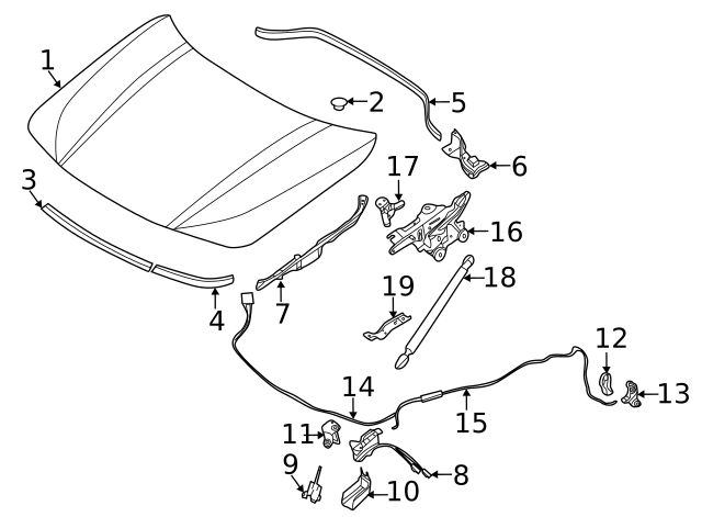 2016-2023 BMW Hood Hinge 41-00-7-427-126 | OEM Vehicle Parts