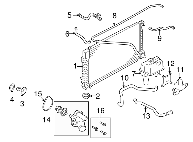 2010-2012 Ford Overflow Hose AM6Z-8C633-A | TascaParts.com
