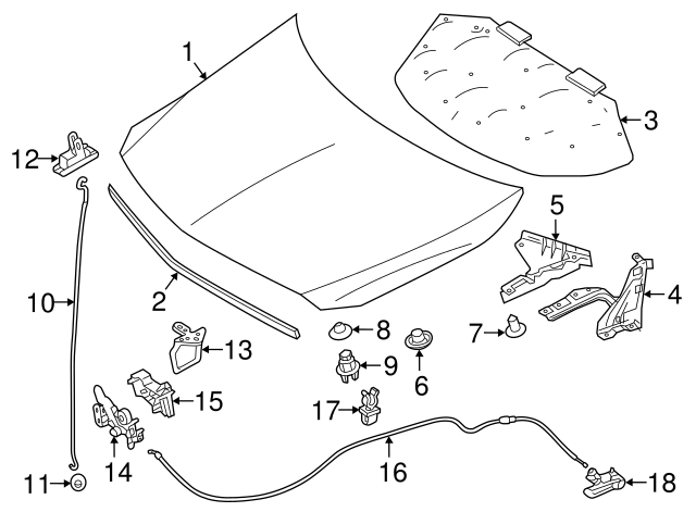 246-887-00-98 - Hood Front Seal - 2015-2017 Mercedes-Benz ...