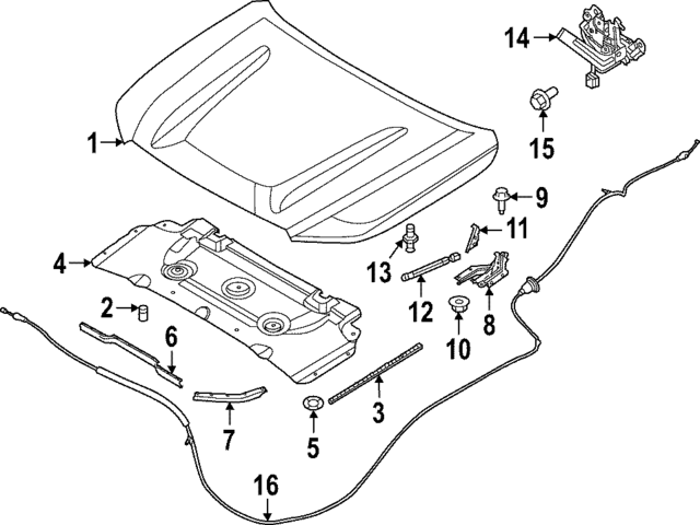 2022-2023 Nissan Frontier Reinforcement 65462-9BU0A | Ziegler Nissan of ...