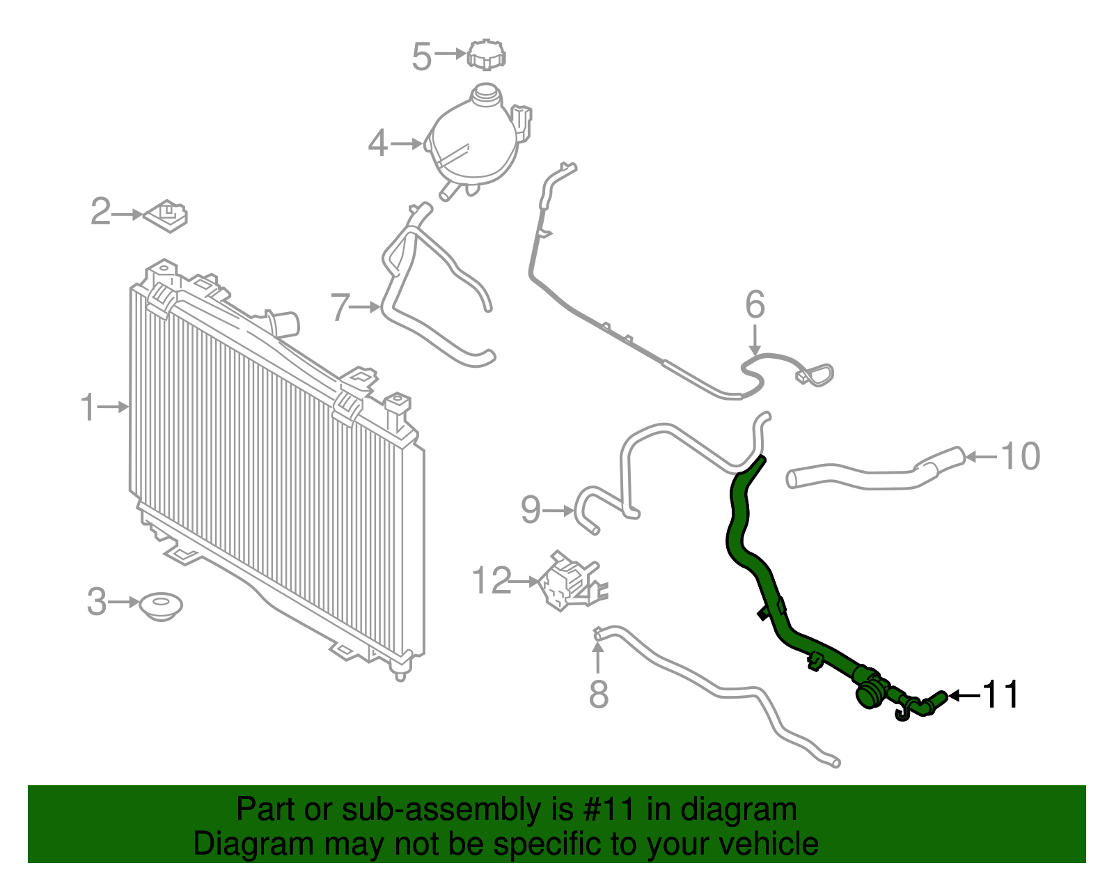 2018-2021 Ford EcoSport Motorcraft™ Radiator Coolant Hose KM-7919 | OEM ...