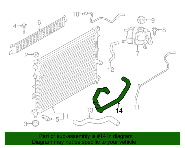 Genuine OEM Ford Part - Lower Hose F2GZ-8286-C | Genuine OEM Ford Parts ...