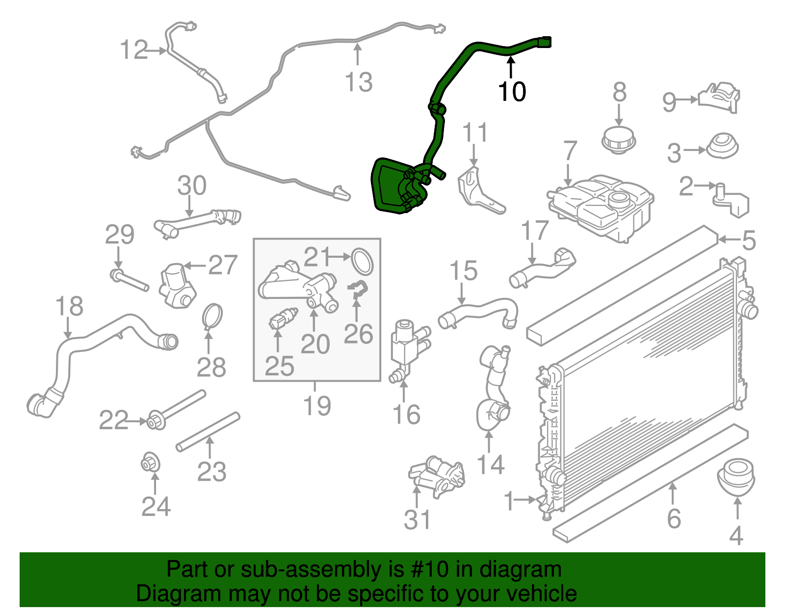 Genuine OEM Ford Part - Overflow Hose DV6Z-8075-B | Genuine OEM Ford ...