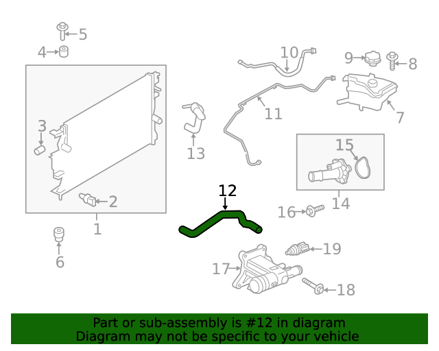 HG9Z-8260-A - Upper Hose 2017-2020 Ford | AutoNation Parts