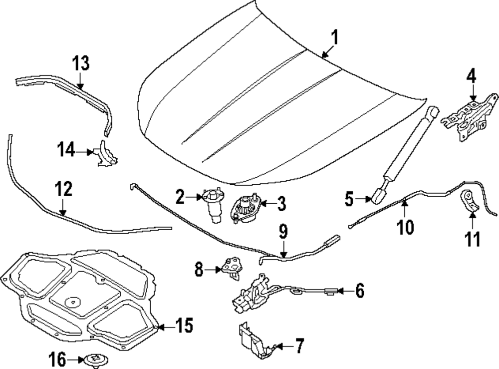 2023-2025 BMW | Striker Assembly | 51239852438 | BMW OEM Parts Store