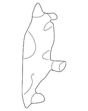 2019-2023 Toyota Quarter Panel Cover 65565-50010 | Camelback Toyota Parts