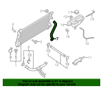 2015-2020 Ford F-150 Upper Hose HL3Z-8260-C | OEM Parts Online