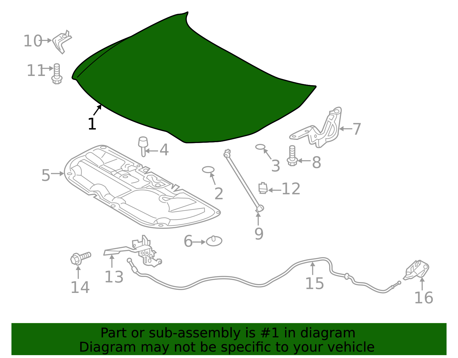 2021-2024 Toyota Venza Hood 53301-48200 | Toyota Parts Center