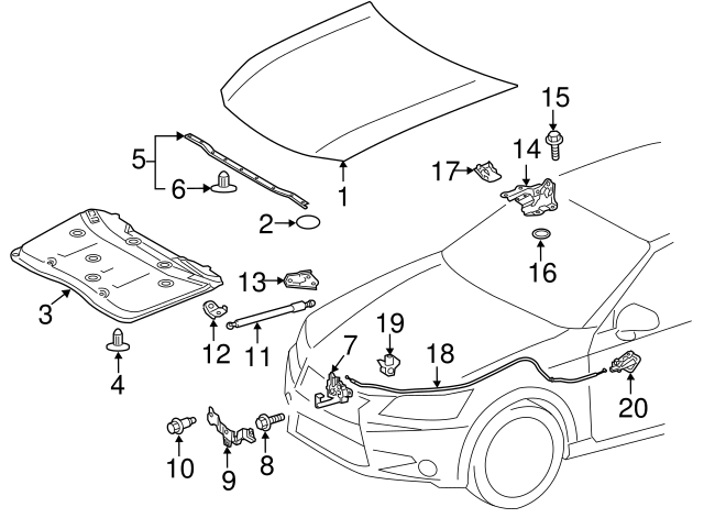 2013-2024 Lexus Lock Cover 53525-30080 | OEM Parts Online