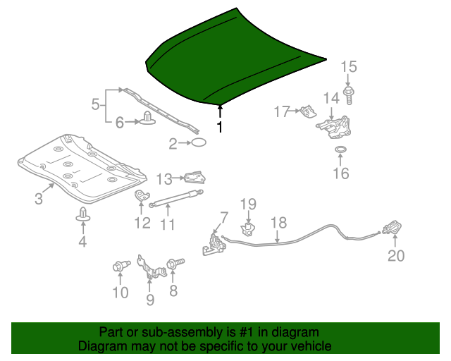 53301-30491 - Hood 2013-2019 Lexus | Longo Lexus Parts