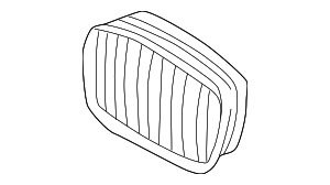 51-13-7-064-317 - Grille - 2001-2006 BMW | Buy BMW Parts Now