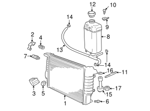 17111427156 - 1995-2003 BMW Overflow Hose (17-11-1-427-156) | BMW of ...