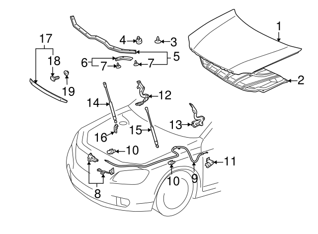 2005-2010 Toyota Avalon Hood Molding (Front) 75770-AC010 | Toyota OEM ...