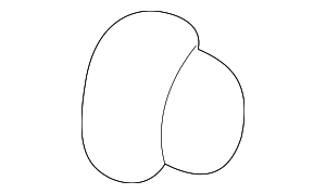 90333-20001 - Door Shell Plug 1998-2025 Toyota | Longo Toyota Parts