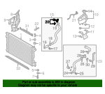 2017-2020 Audi Upper Hose Coupling 8W0-122-293-A | Genuine Audi Parts