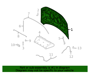 2021-2024 Ford Bronco Sport Hood M1PZ-16612-A | OEM Parts Online