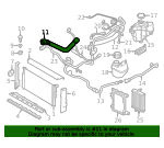 17128616528 - 2017-2021 BMW Lower Hose (17-12-8-616-528) | BMW of South ...