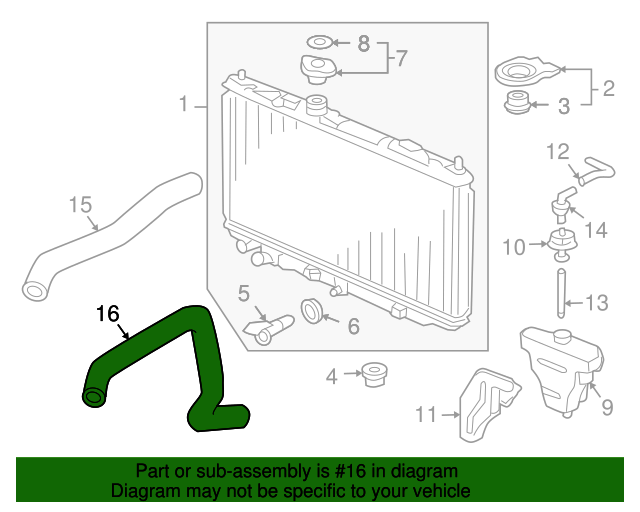 19505-RAA-A00 - Lower Hose 2003-2007 Honda Accord | Honda Parts Online