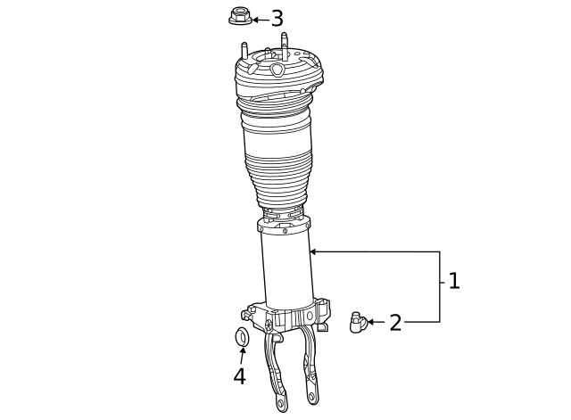 167-320-05-03 - Strut Assembly 2020-2023 Mercedes-Benz ...