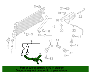 FL3Z-8286-C - Lower Hose - 2015-2020 Ford F-150 | Lasco Auto Parts