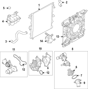 2020-2023 Ford Water Pump L1MZ-8501-D | QuirkParts