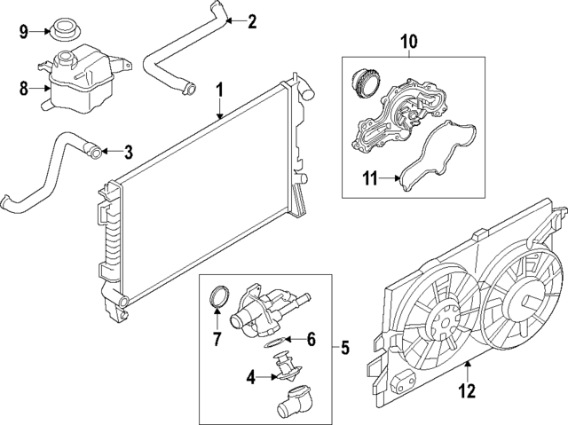Genuine OEM Ford - Lower Hose F2GZ-8286-H | OEM Ford Parts & Accessories